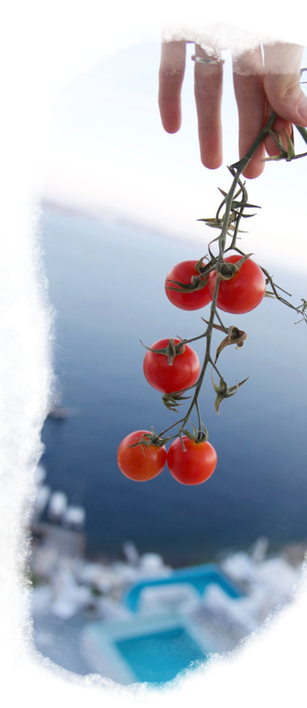 Taste & Feel Santorini – Barolo Restaurant | Barolo Restaurant Santorini